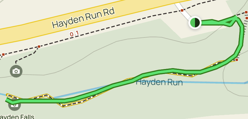 Plants of Hayden Falls Park – Kole's Ohio Plants Website